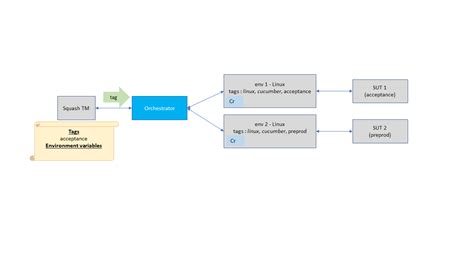Piloting Tests From Squash TM Squash AUTOM And Squash DEVOPS