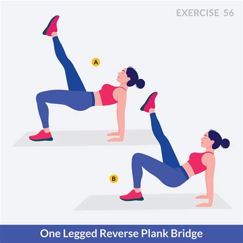 One Legged Reverse Plank Exercise Woman Workout Fitness Aerobic And