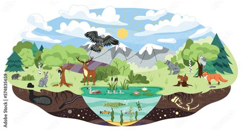 Concept Of Ecosystem Biodiversity And Different Forest Habitats