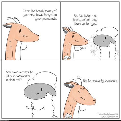 My Highbabes Password Security Is On Point OC ProgrammerHumor Io