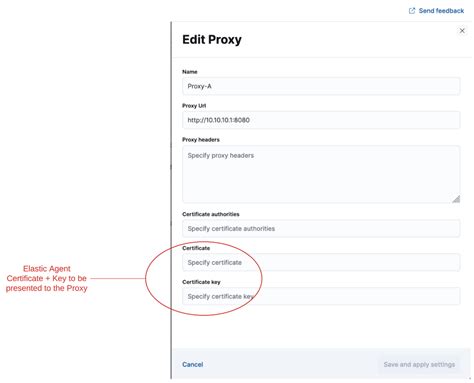 Fleet Enhancemnts To Logstash And Proxy Flyouts Server Ssl