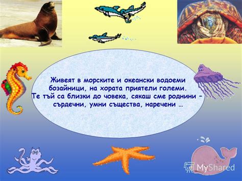 Презентация на тему Живеят в морските и океански водоеми бозайници