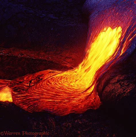 Molten Lava On Hawaii Photo WP00627