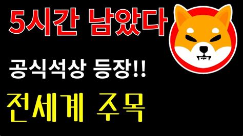 시바이누 코인 5시간밖에 안남았습니다 모습을 드러내는 그 전세계 주목한다 시바이누전망 도지코인 비트코인 이더리움 코인전망 Youtube
