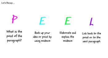 PEEL Paragraphs For Persuasive Text By The Education Tools TPT