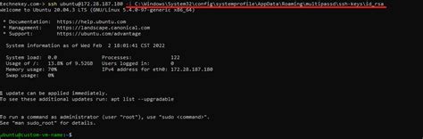 Creating Multiple Virtual Machines Fast Using Multipass