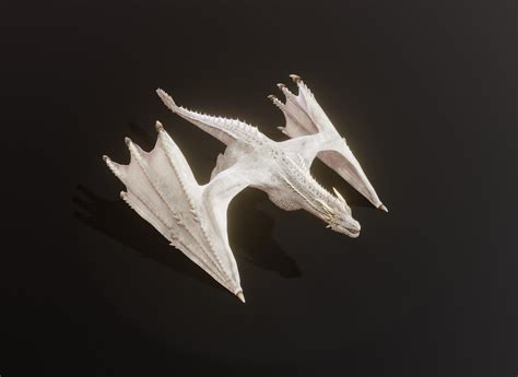 Realistic White Wyvern Animated Game Ready Low Poly D Model