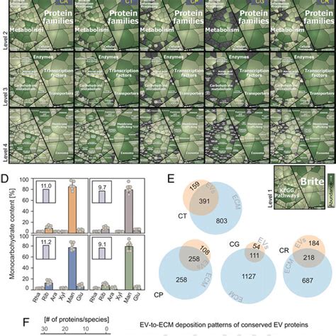 Biochemical Profiling Of Candida Biofilm Extracellular Vesicles A A