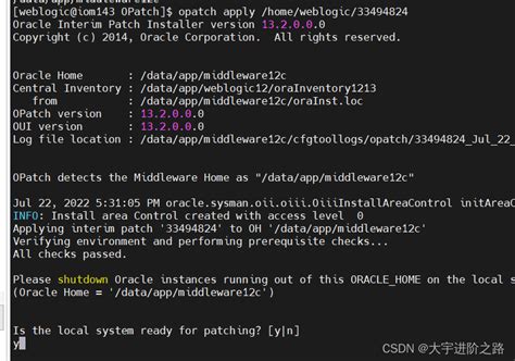 weblogic漏洞打补丁，安装opatch补丁 weblogic11安装最新补丁集还有漏洞 csdn博客