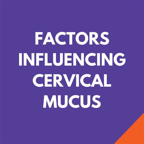 Things That Can Influence Your Cervical Mucus Storkacademy