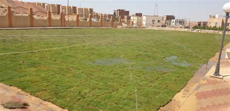 وزارة الرياضة تكشف حقيقة إهمال مراكز شباب الشيخ زايد وأكتوبر