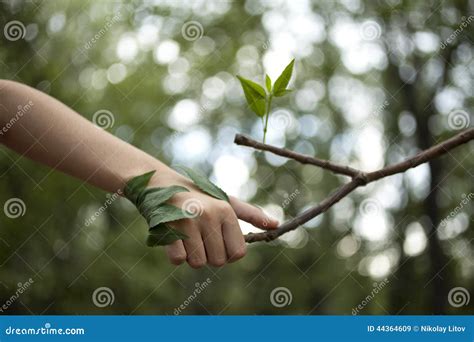 Love The Nature Stock Image Image Of Care Environment 44364609