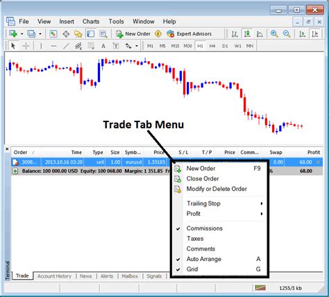 MT4 Terminal Window MetaTrader 4 Transactions Tabs Panel Forex MT4 Online Trading Platform