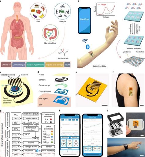 A Wearable Electrochemical Biosensor For The Monitoring Of Metabolites