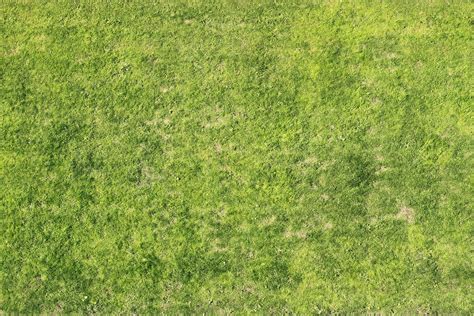 Grass Texture From 10 Stories Up Eric Verspoor Flickr