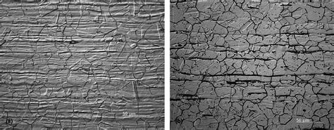 Microstructure Of Longitudinal Section On Tube A And Ring B Wear