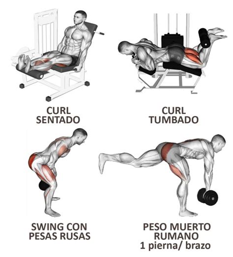 Los Mejores Ejercicios Para Piernas
