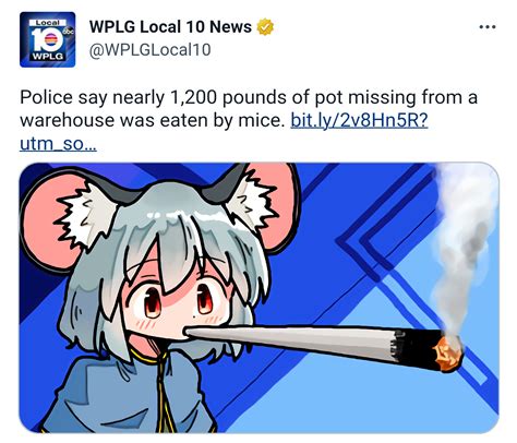 Nazrin Touhou And 1 More Drawn By Kasuya Baian Danbooru