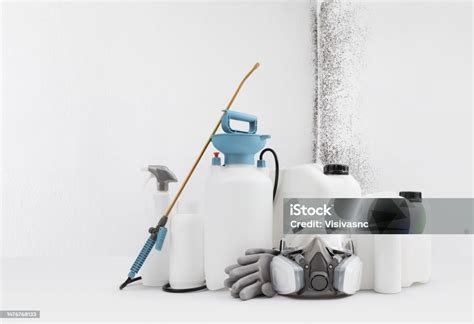Cleaning And Disinfection Tools Kit Isolated On White Wall With Mold Background Protective
