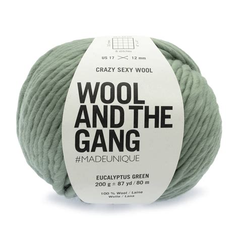 Wool And The Gang Eucalyptus Green Crazy Sexy Wool 200g Hobbycraft