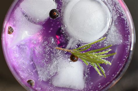 200 무료 Gin Tonic And 칵테일 이미지 Pixabay