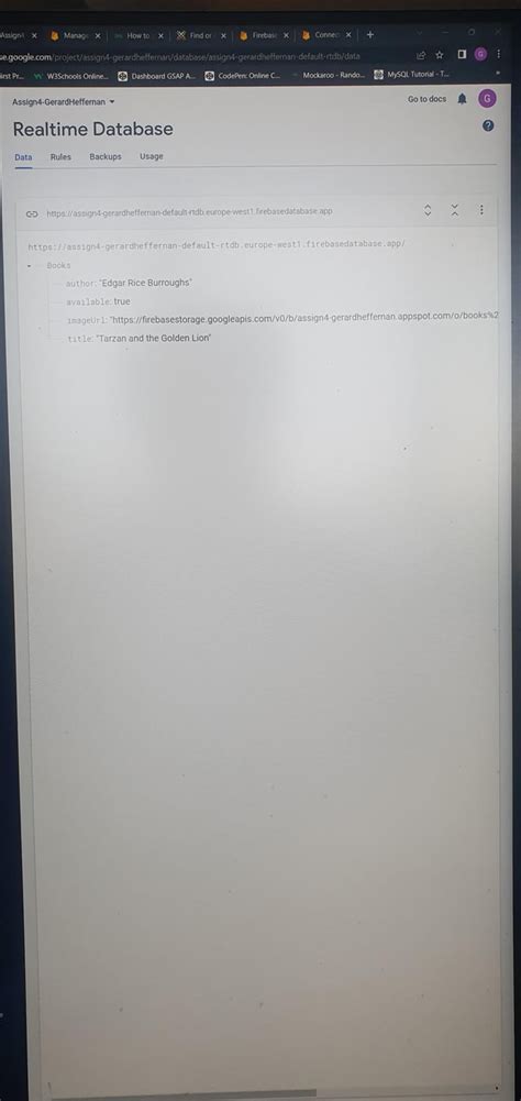 Why Am I Not Getting The Plus Symbol To Create This Database Rfirebase
