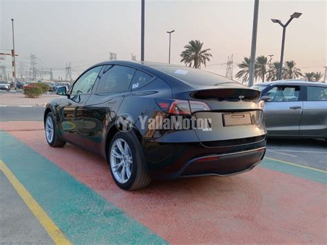 New Tesla Model Y Standard Range 2023 1520762