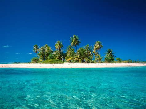 coconut-island – The Fabulous CruiseTones