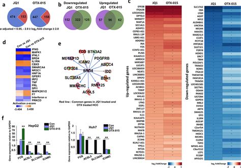 Differential Gene Expression In Bet Inhibitor Treated Hcc Cells And