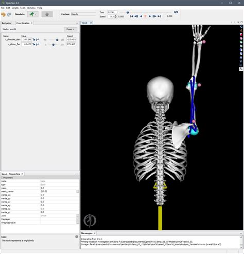 Error Drawing Muscle Paths When There Is A Nan In The State · Issue