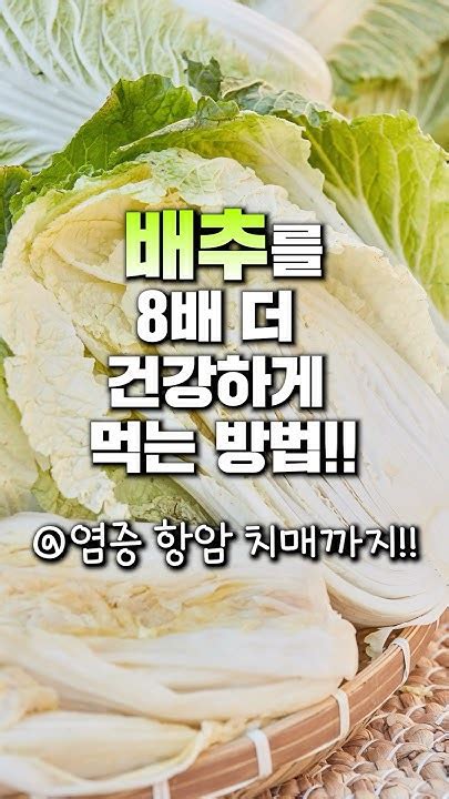배추를 8배 더 건강하게 먹는 방법 메타웰영양제 카이브론 기침영양제 영양제 기관지영양제 영양제카이브론 일본영양제 일본영양제카이브론 가래영양제 Youtube