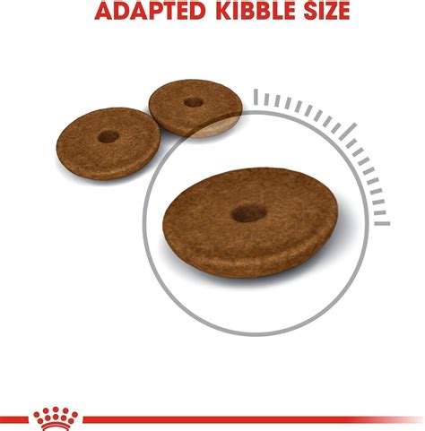 Royal Canin Fcn Feline Care Nutrition Digestive 2kg Cat Dry Food Buy Best Price In Uae Dubai