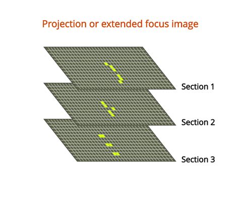 Vector Projection Algorithm Solved 1 Consider A Vector