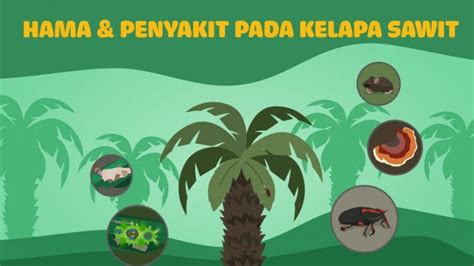 Yuk Kenali Jenis Hama Sawit Dan Cara Penanganannya