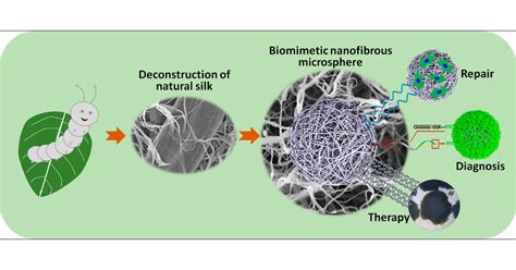 Biomimetic Natural Silk Nanofibrous Microspheres For Multifunctional