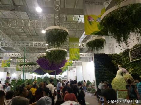 第九屆中國花博會 每日頭條