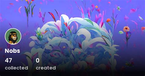 Nobs Profile OpenSea