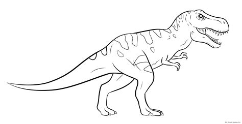 Dinosaurs Line Art Illustrations