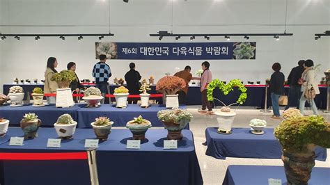 제6회대한민국 다육식물박람회 청주예술의전당대전시실24년11월9~10일까지 Youtube