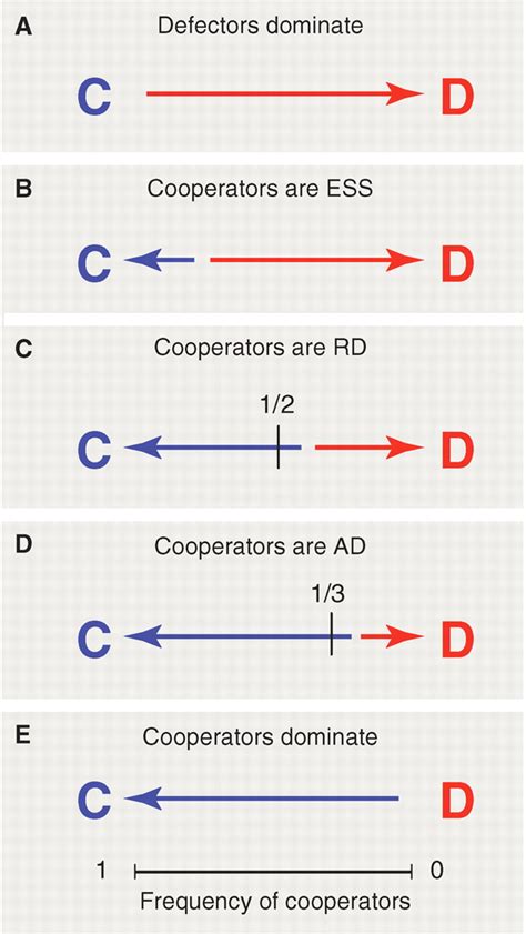 Five Rules For The Evolution Of Cooperation Science