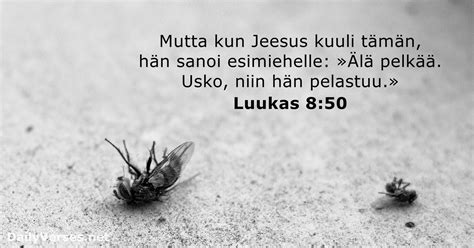 17 maaliskuuta 2022 Päivän Raamatun jae Luukas 8 50 DailyVerses net