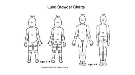 Lund And Browder Chart Pediatric