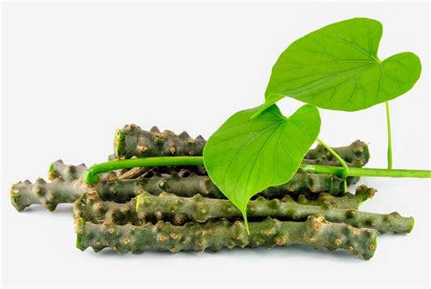 Giloy Benefits for Heart | Dabur Ayurveda | Dabur