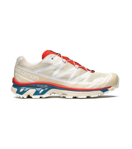 サロモン Salomon Footwear Xt 6 Multi Colour 23の通販 Restir リステア