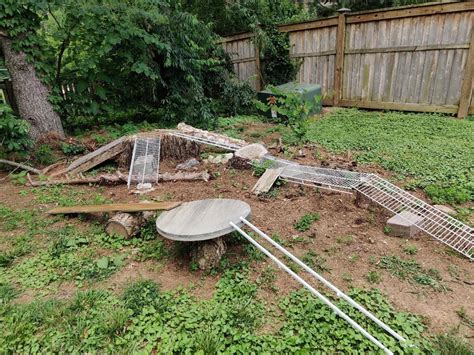 24 Rc Crawler Backyard Course Ideas