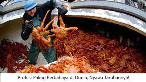 Profesi Paling Berbahaya Di Dunia Nyawa Taruhannya Najoomalfakhamah