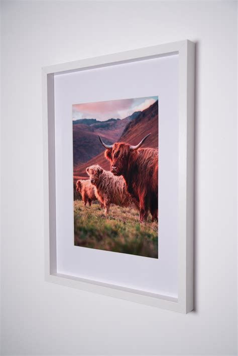 Scotland Wall Art Digital Print Highland Cow Print Highland Cattle