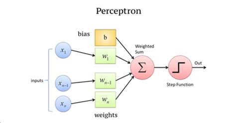 Week 2 Machine Learning Flashcards Quizlet