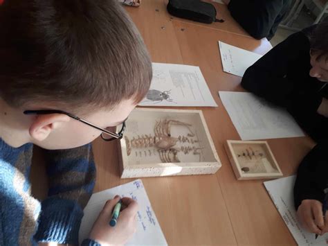 Praktinis darbas Nariuotakojai Vyturio progimnazija Panevėžys School in Panevėžys