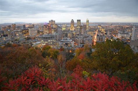 Heide Ibrahim On Linkedin Looking Forward To The Alls Workshop From October 6 10 New From This…